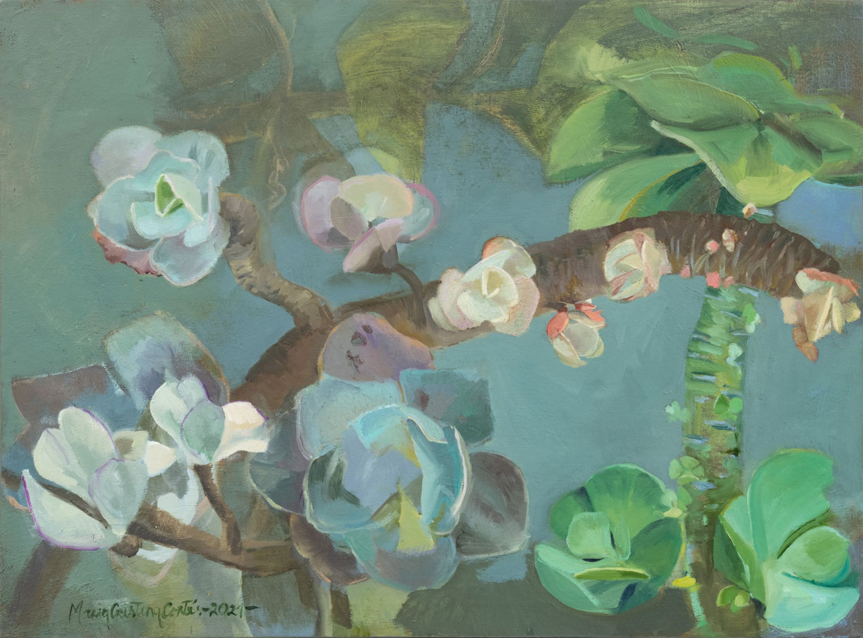 Maria Cristina Cortés – Galería El Museo